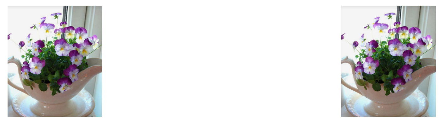 How to Align Images on Your Website | Practicise.com Guide